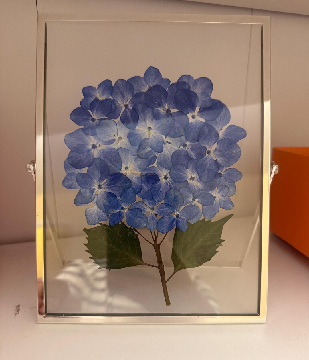 Custom Pressed Flower Frame, Botanical Art Frame, Hydrangea , Blue ...