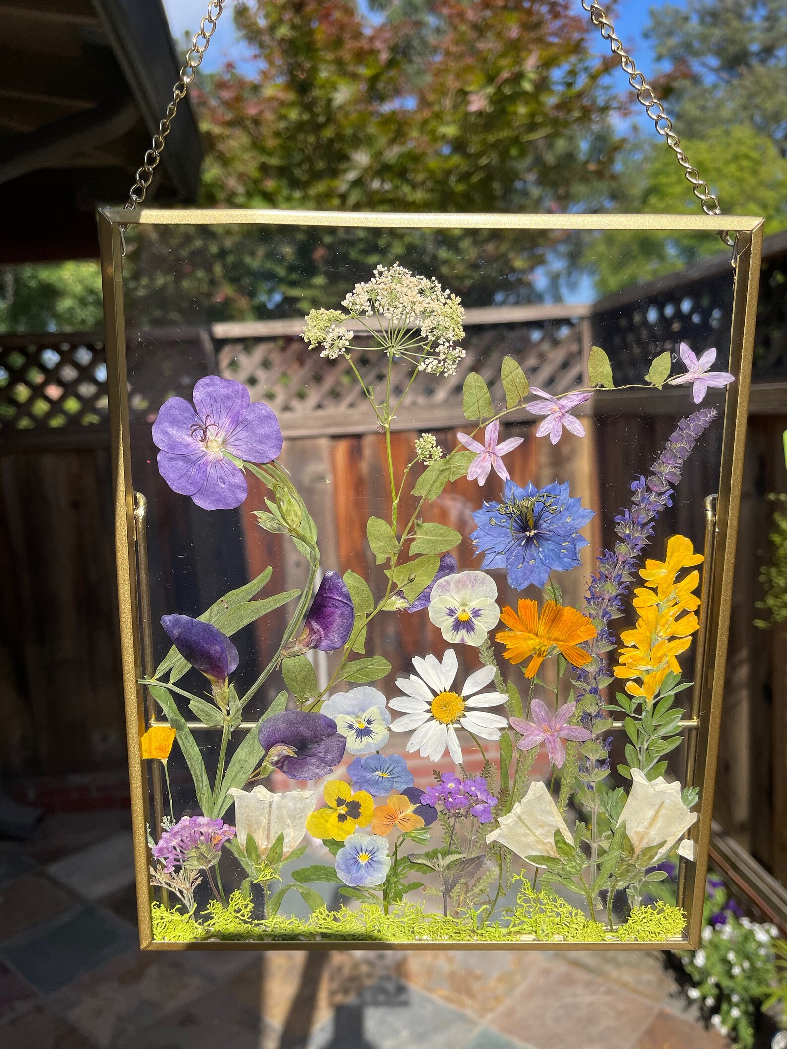 Pressed Flower Frame Pressed Flower Art Pressed Flowers | Etsy