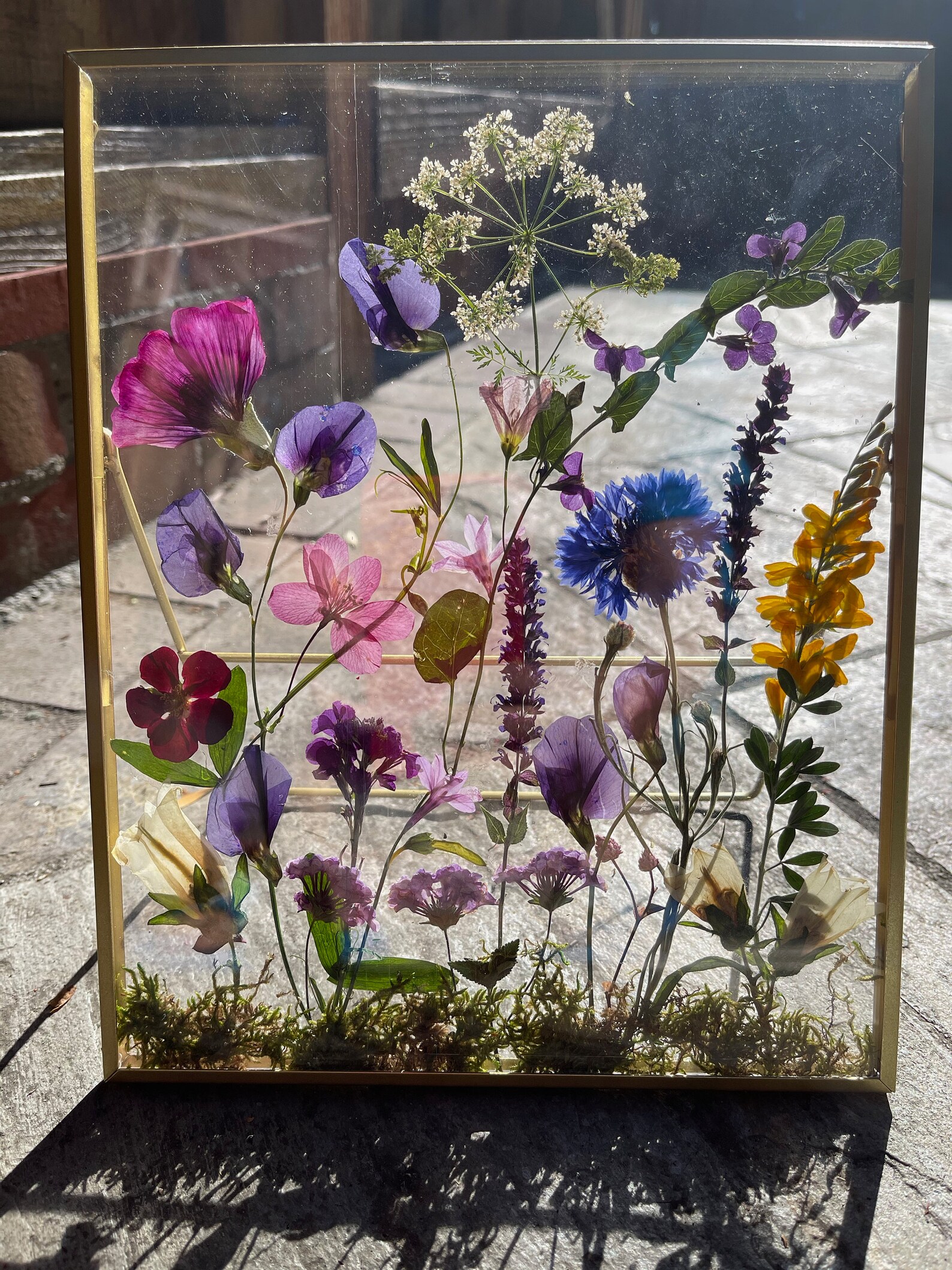 Pressed Flower Frame Pressed Flower Art Pressed Flowers | Etsy