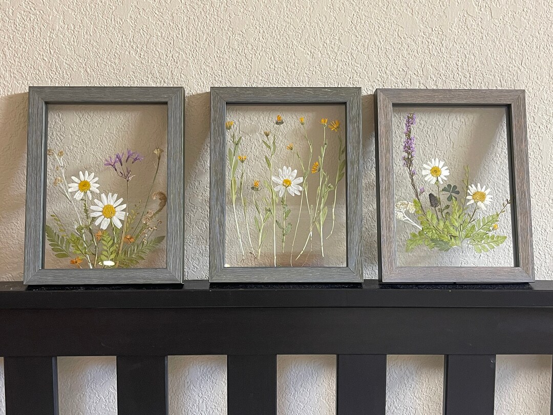 Pressed Flower Frame Botanical Art Frame Mother's Day Gift Gift for Her ...