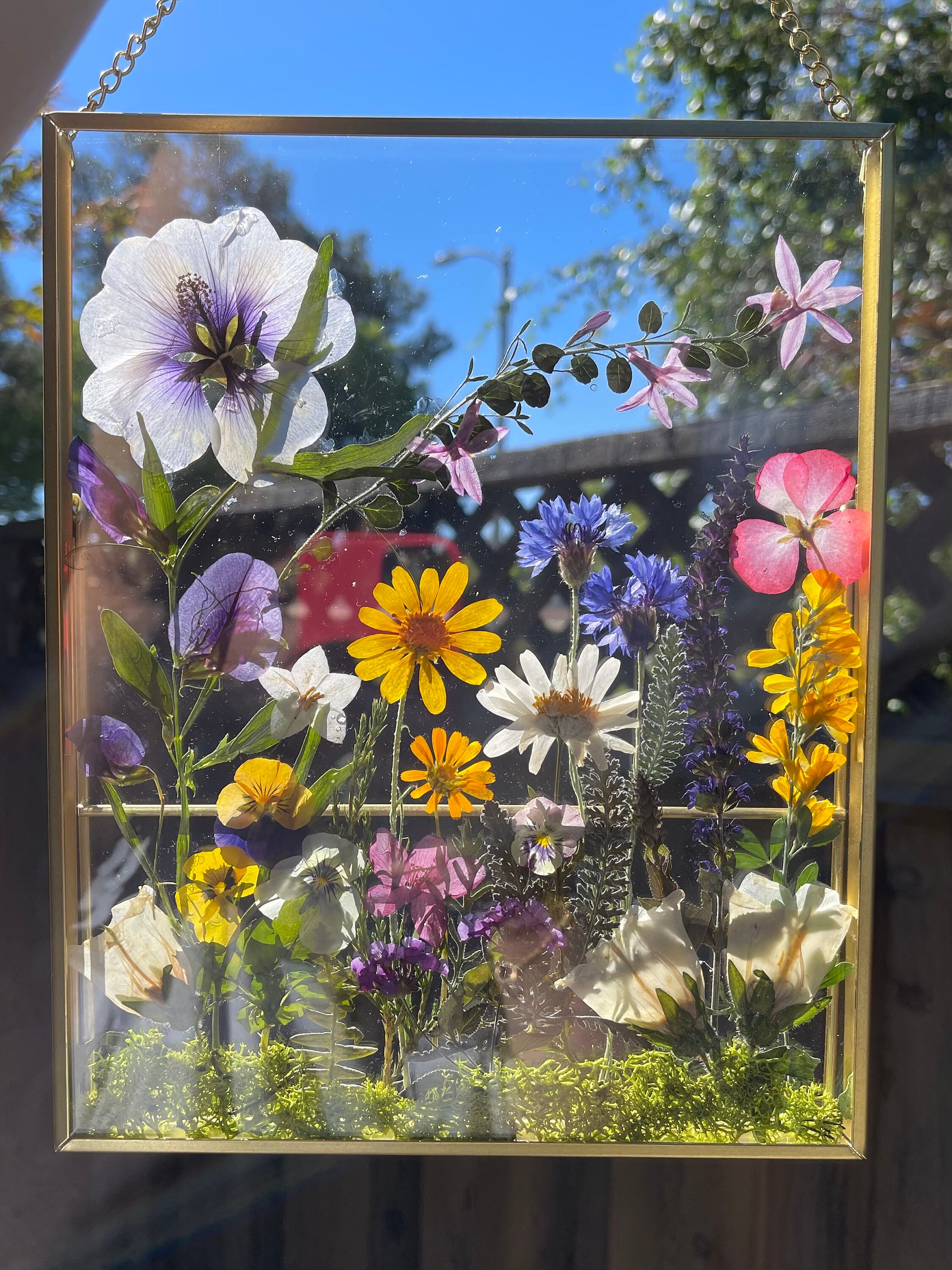 Pressed Flower Frame Pressed Flower Art Pressed Flowers | Etsy