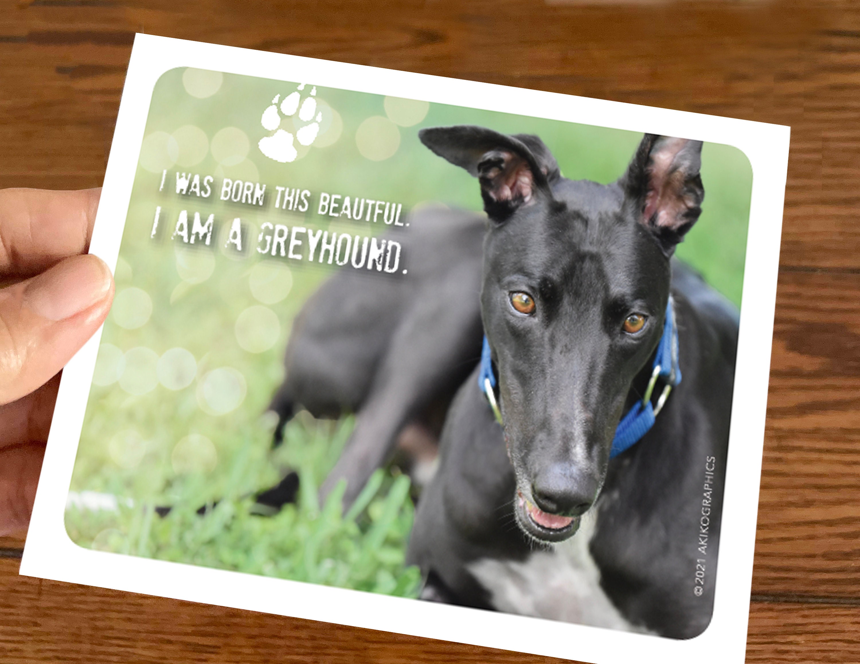 Greyhound Card, Greeting Card, Greyhounds, Blank Card, BORN BEAUTIFUL ...