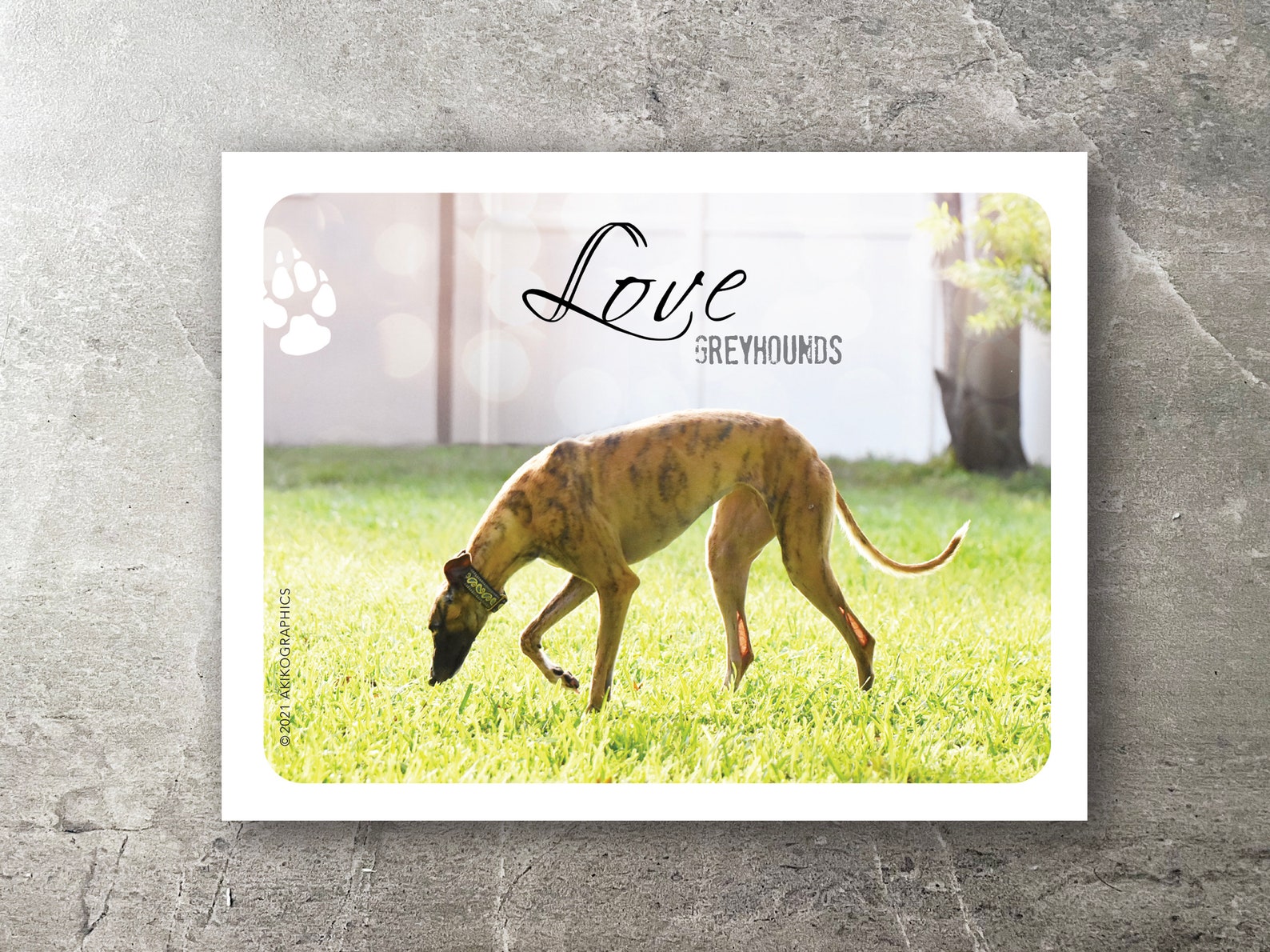 Set of 6 Greyhound Cards true Love - Etsy UK