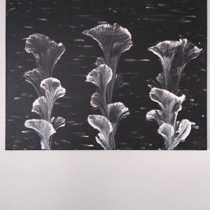 Black and White String Pull Flower Painting. Original and One - Etsy