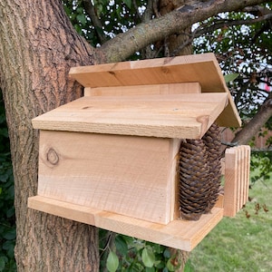 Squirrel House With Predator Guard - Etsy