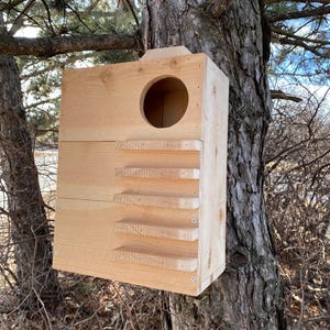 Squirrel House/nesting Box With Inside Predator Guard - Etsy