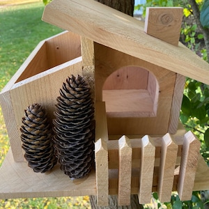 Squirrel House With Predator Guard - Etsy