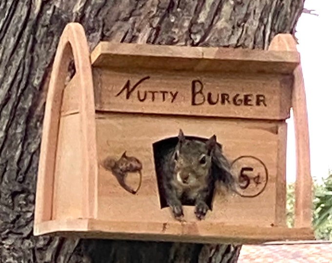 Squirrel House Nesting Box Etsy