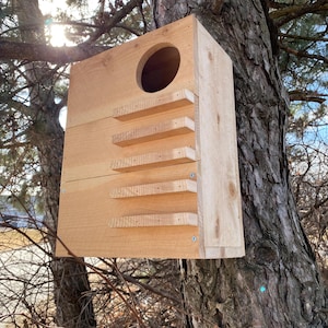 Squirrel House/nesting Box With Inside Predator Guard - Etsy
