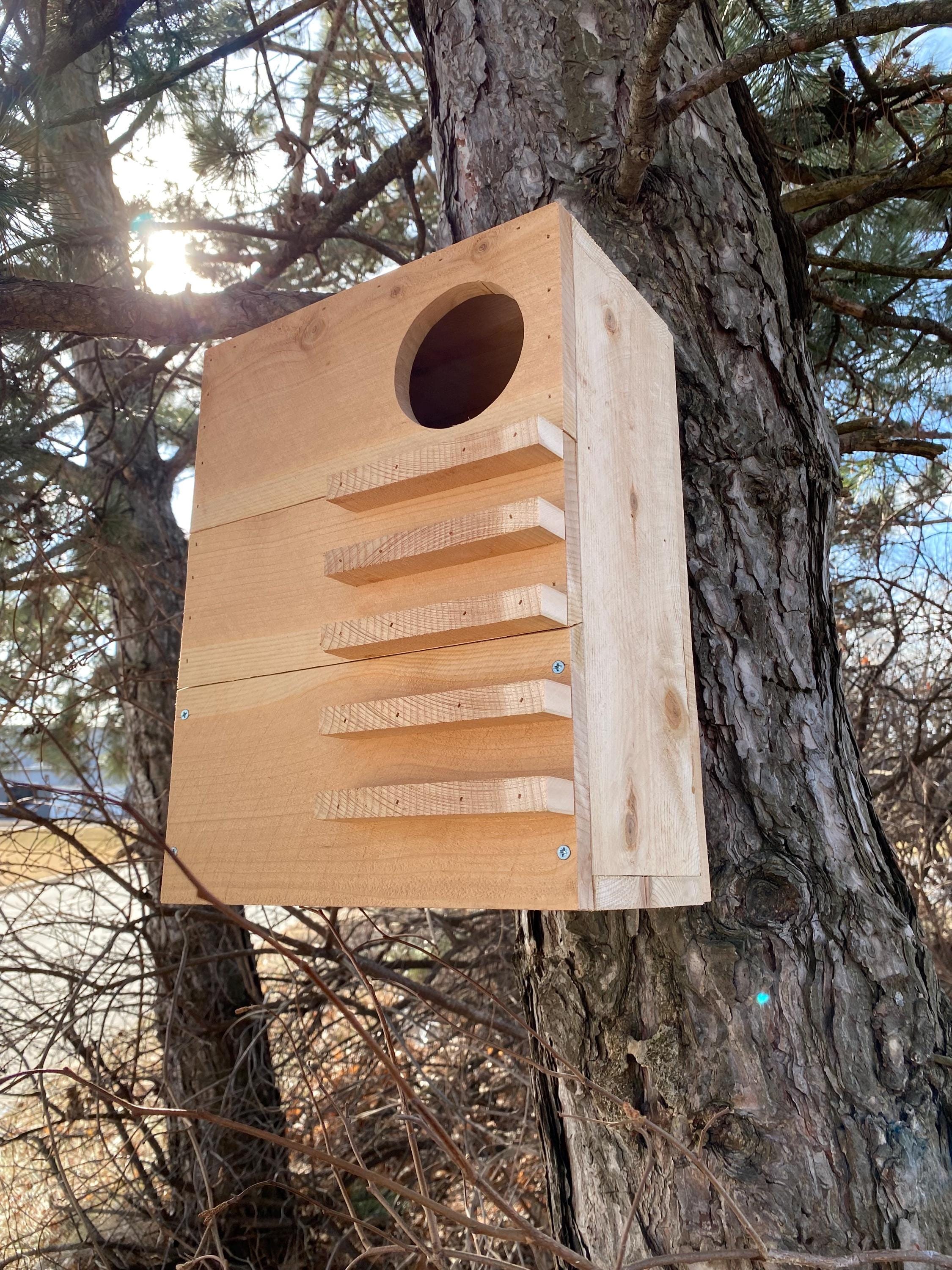Squirrel House/nesting Box With Inside Predator Guard - Etsy