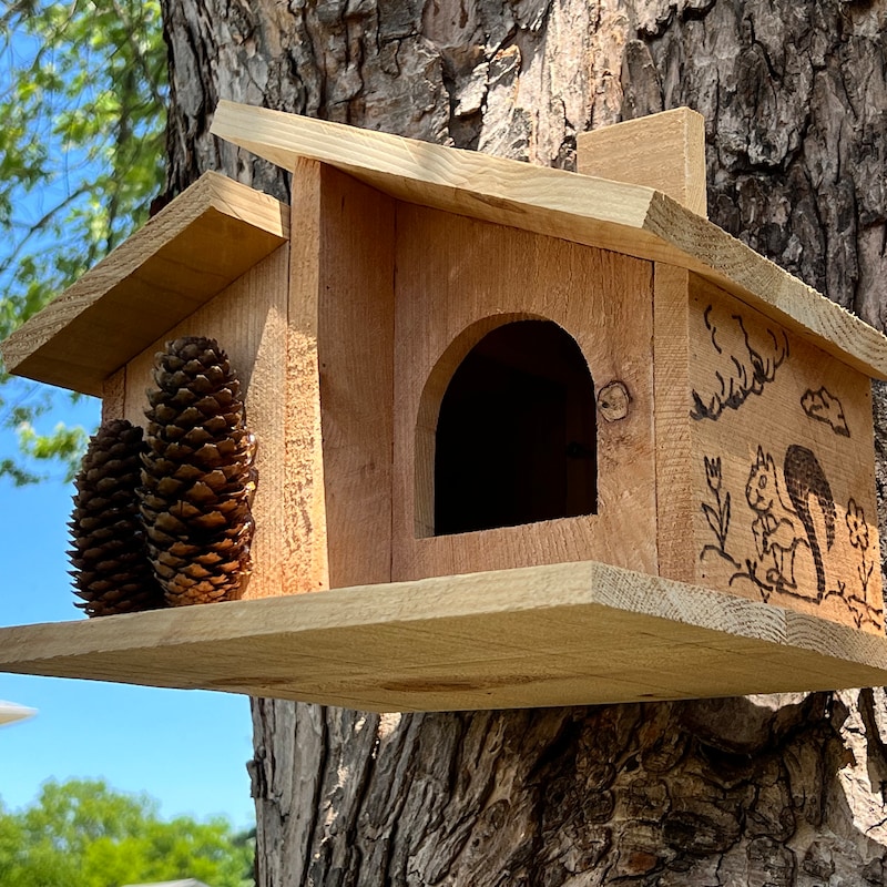 Squirrel Box Home Decor - Etsy