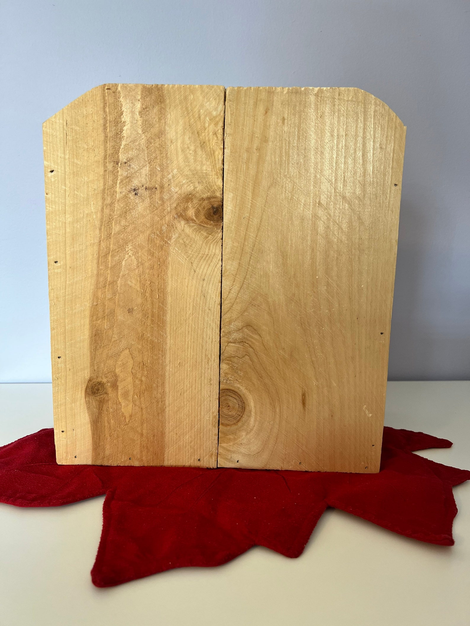 Squirrel House Nesting Box Etsy