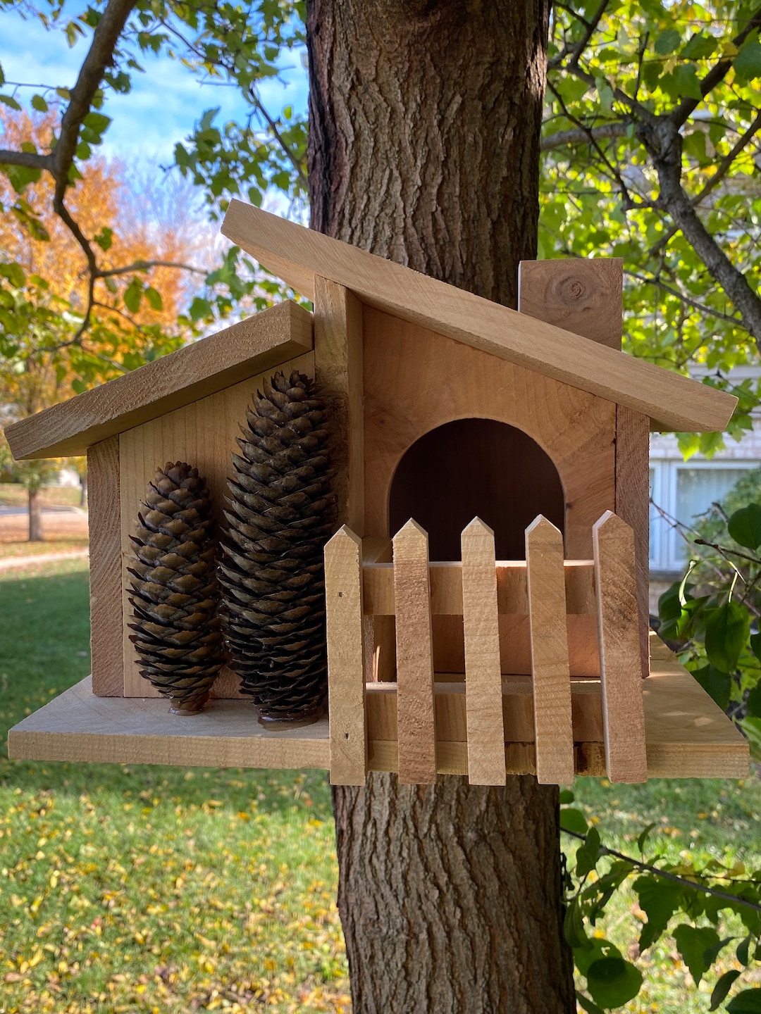 Squirrel House With Predator Guard - Etsy
