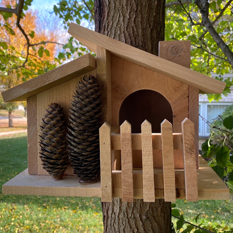 Squirrels House Plans - Etsy
