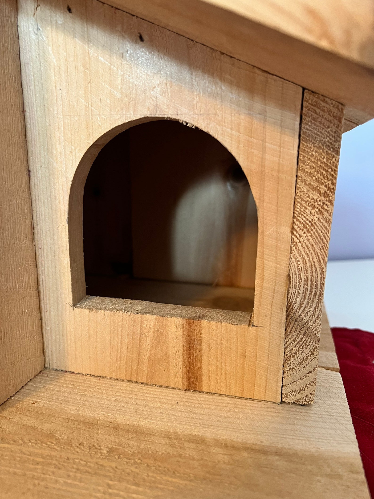 Squirrel House/nesting Box - Etsy