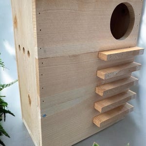 Squirrel House/nesting Box With Inside Predator Guard - Etsy