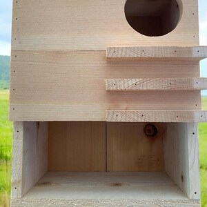 Squirrel House/nesting Box With Inside Predator Guard - Etsy