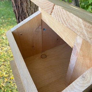 Squirrel House With Predator Guard - Etsy