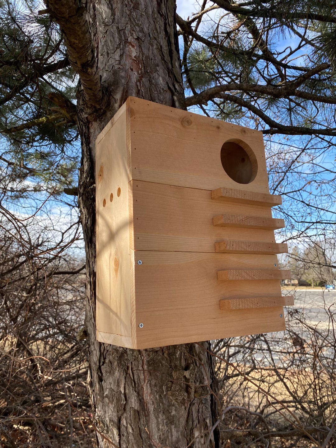 Squirrel House/nesting Box With Inside Predator Guard - Etsy