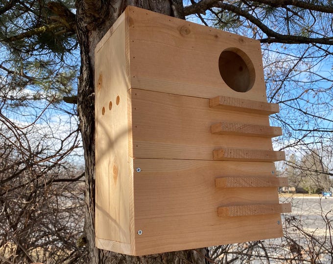 Squirrel House/nesting Box With Inside Predator Guard - Etsy