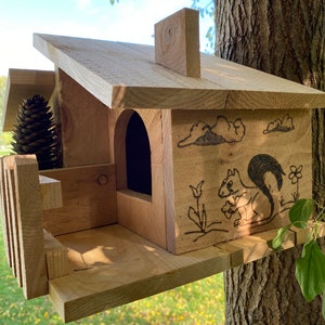 Squirrel House With Predator Guard - Etsy