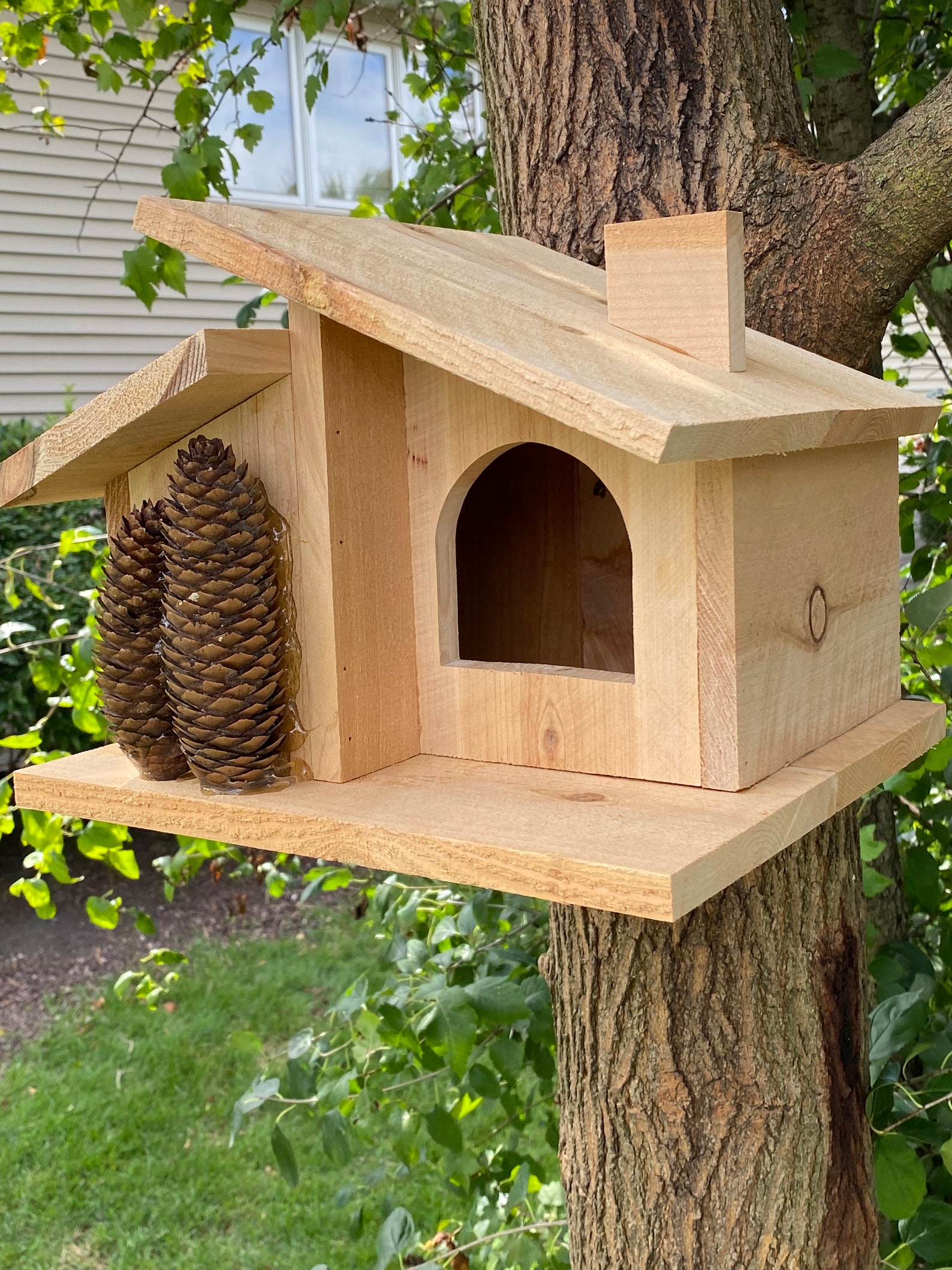 Squirrel House/nesting Box - Etsy