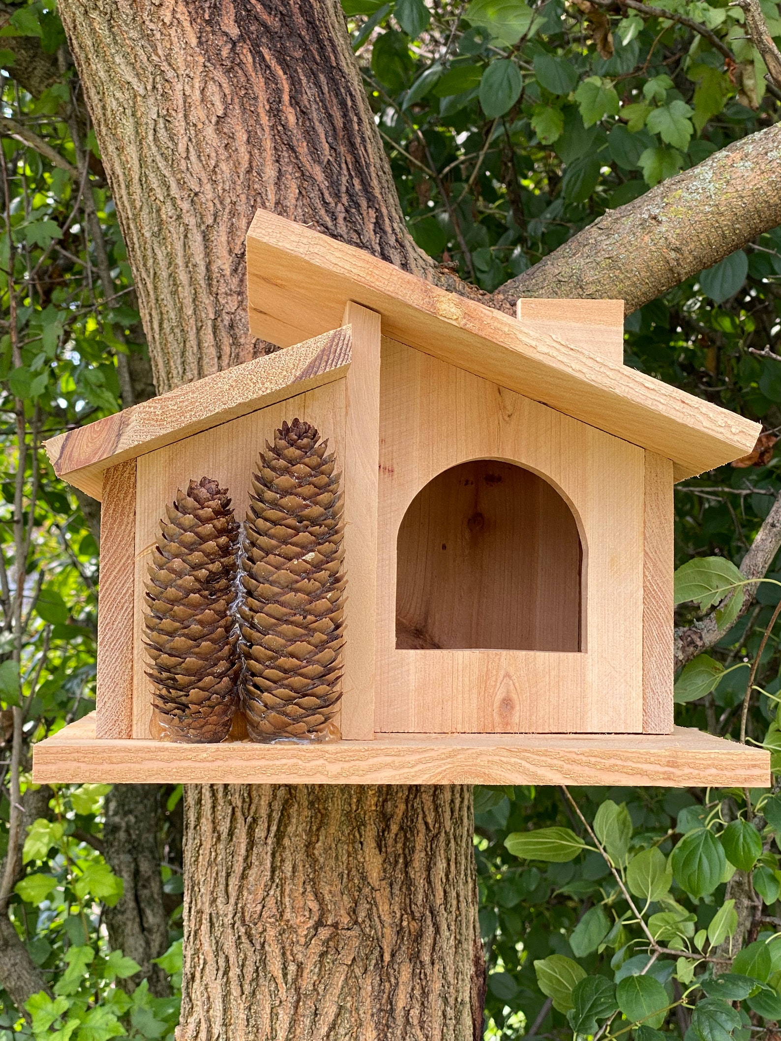 Squirrel House/nesting Box - Etsy