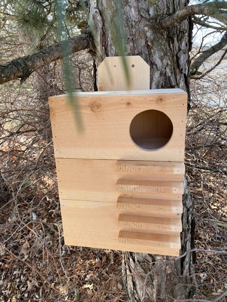 Squirrel House/nesting Box With Inside Predator Guard - Etsy