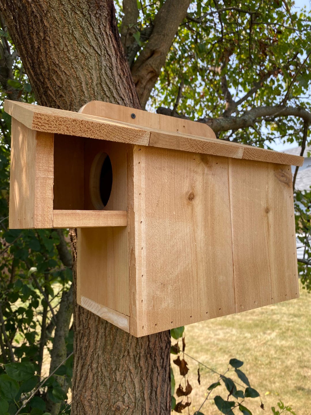 Squirrel House/nesting Box - Etsy