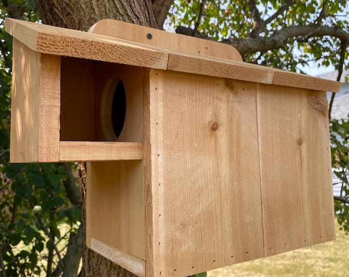 Squirrel House/nesting Box - Etsy