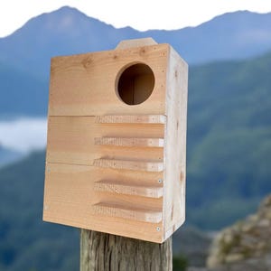 Squirrel House/nesting Box With Inside Predator Guard - Etsy