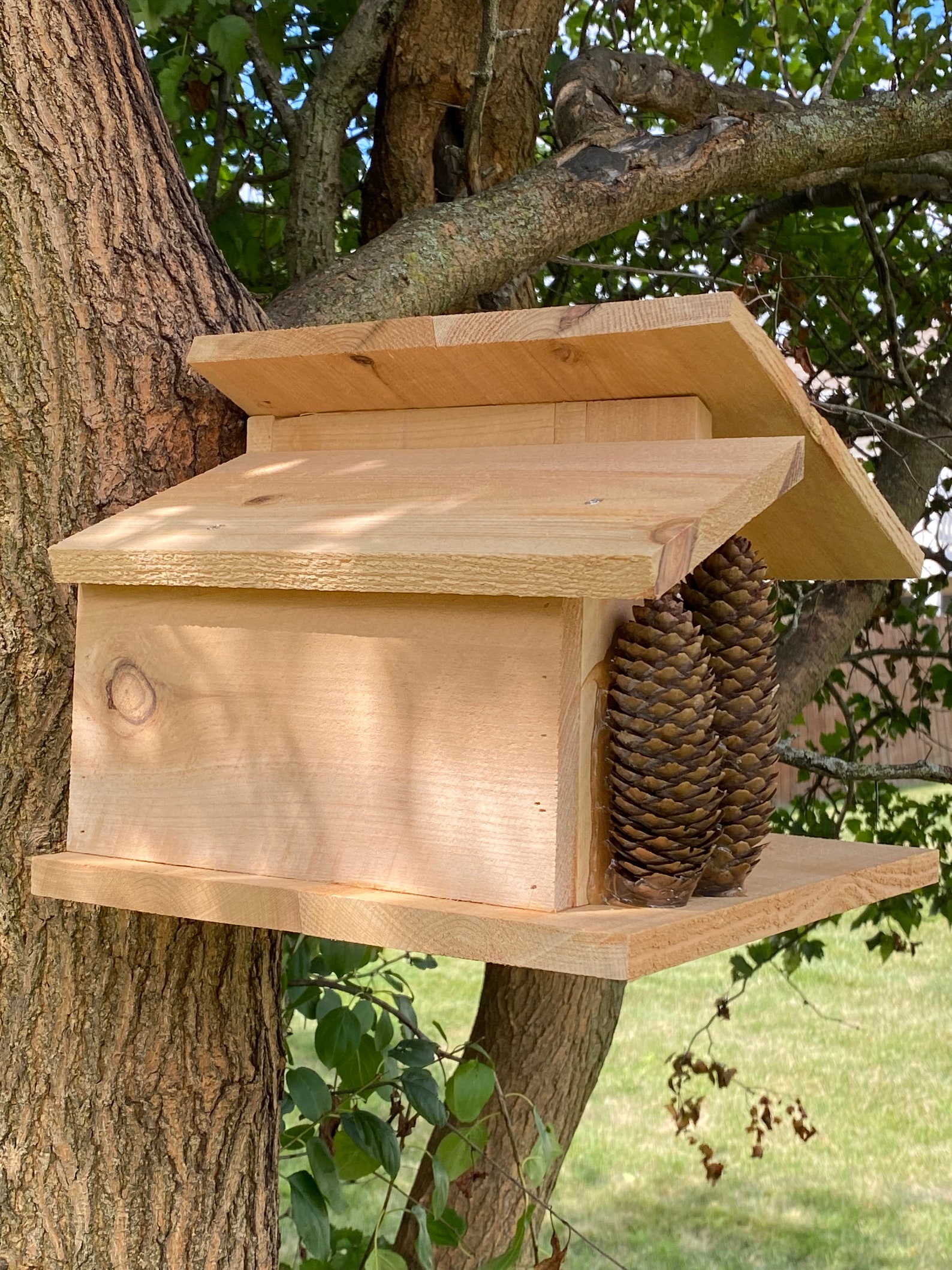 Squirrel House/nesting Box - Etsy