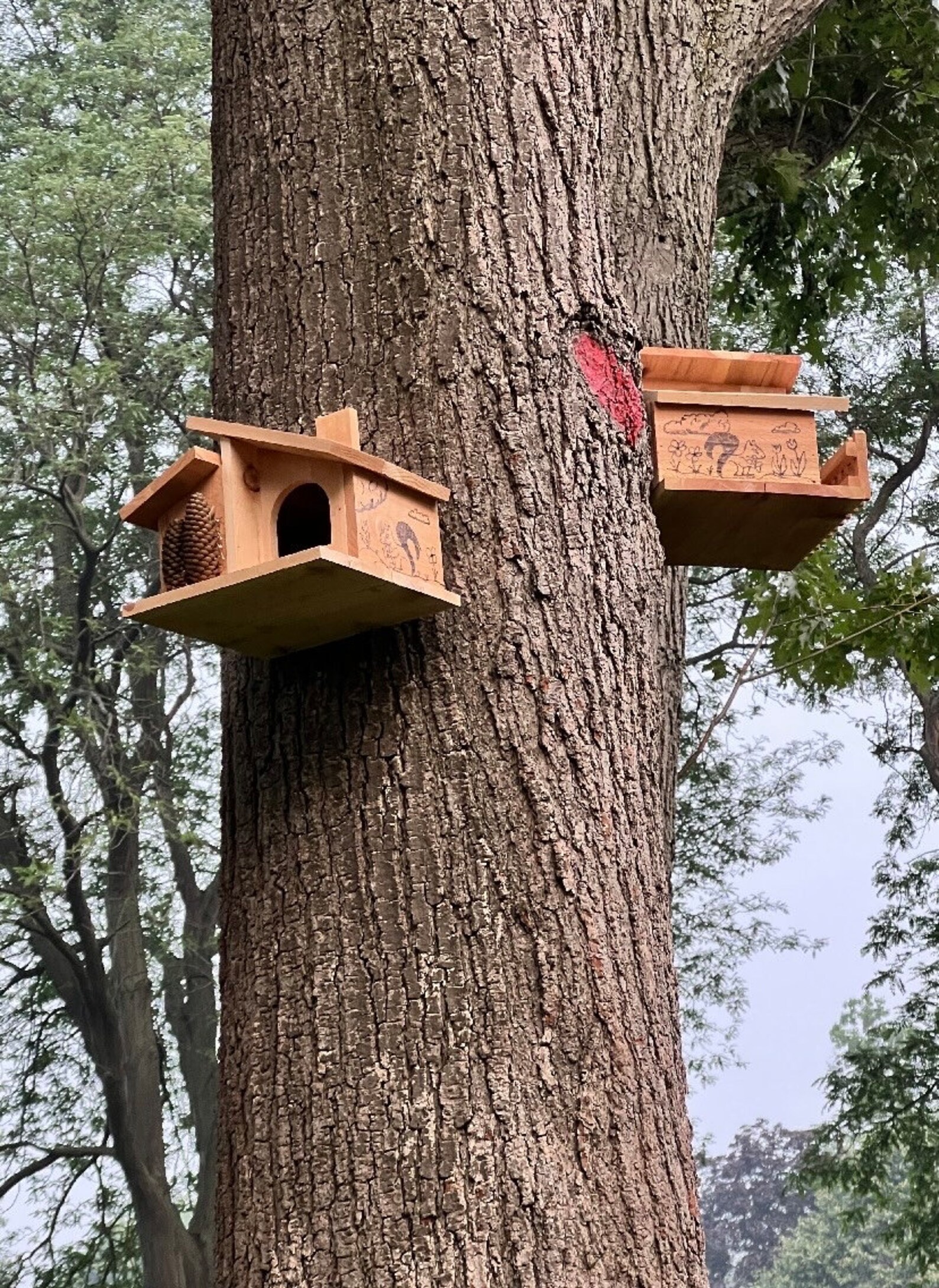 Squirrel House/nesting Box - Etsy