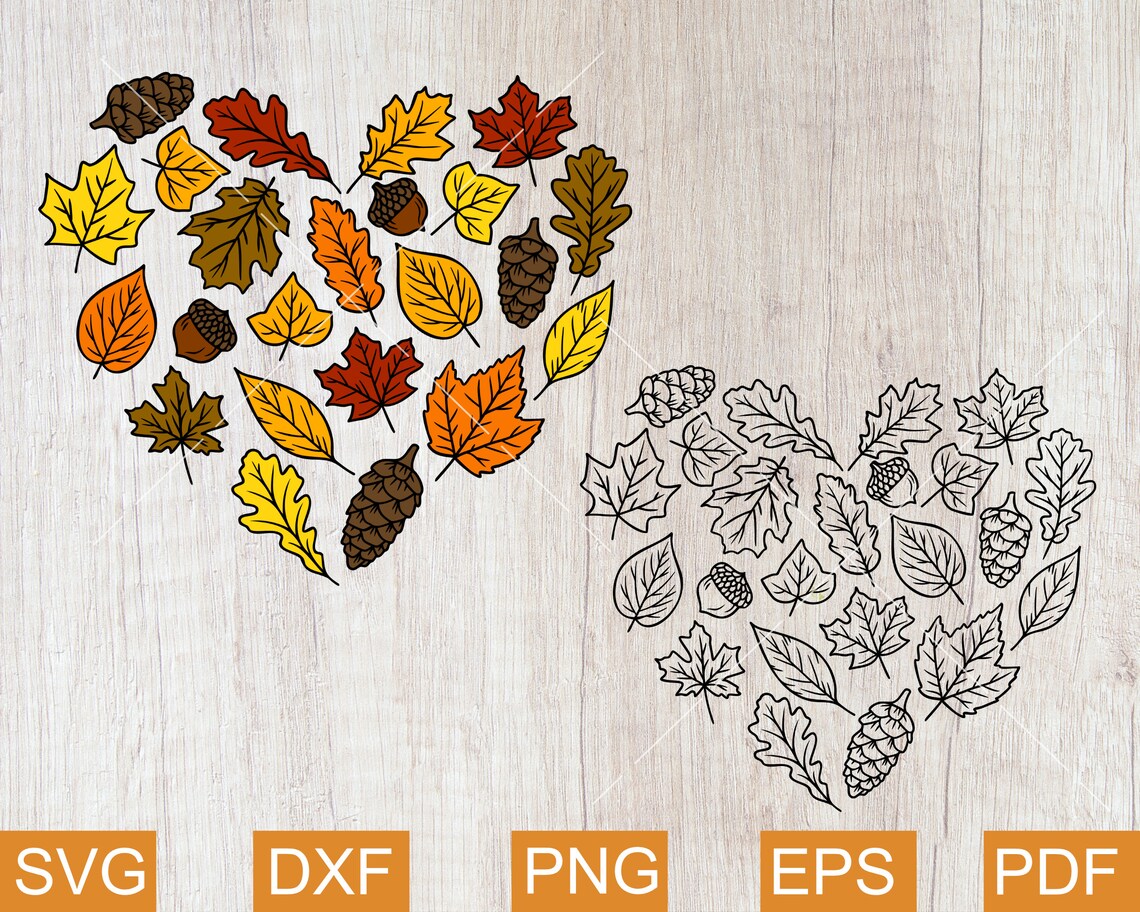 Autumn Designs Svg Fall Heart Svg Autumn Leaves Svg Pumpkin - Etsy