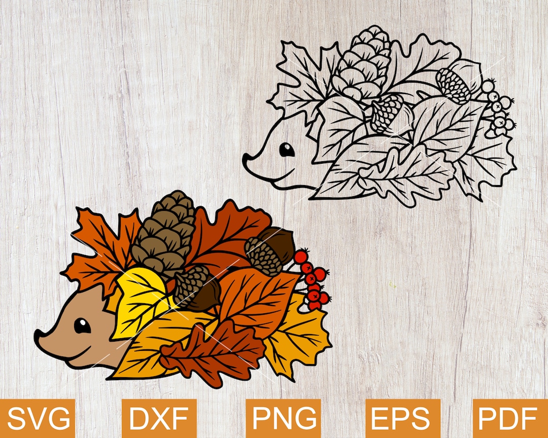 Hedgehog Svg, Fall Svg, Autumn Svg, Woodland Svg, Cute Animal Svg, Baby ...