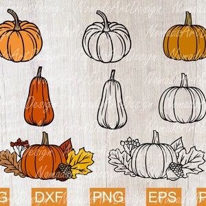 Pumpkin Svg, Fall Svg Bundle, Pumpkin Cut File, Pumpkin Clipart ...