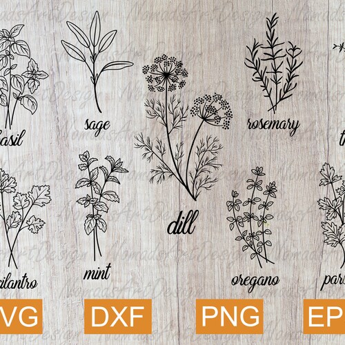 Herbs Svg Thyme Svg Kitchen Svg Garden Svg Farmhouse Svg | Etsy