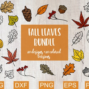 Fall Svg Bundle, Maple Leaf Svg, Oak Leaf Svg, Fall Leaf Svg, Autumn ...