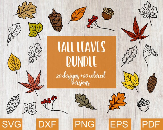 Fall Svg Bundle Maple Leaf Svg Oak Leaf Svg Fall Leaf Svg | Etsy