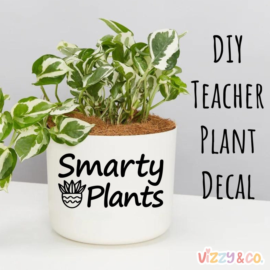 DIY Smarty Plants Teacher Gift Decal Pot Plant Thank You - Etsy