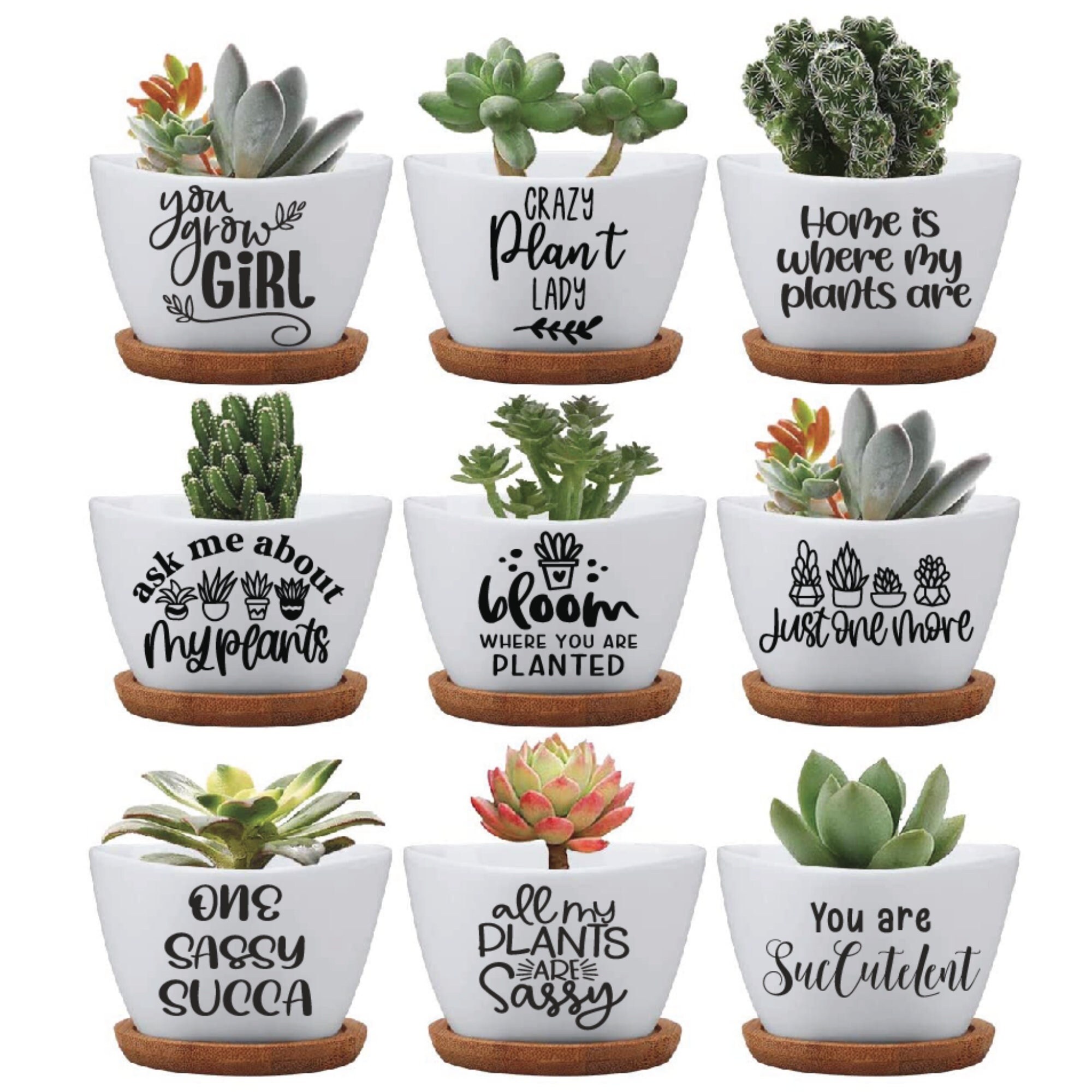 Pot Plant Decal Puns DIY Affirmations Gift Pot - Etsy Australia