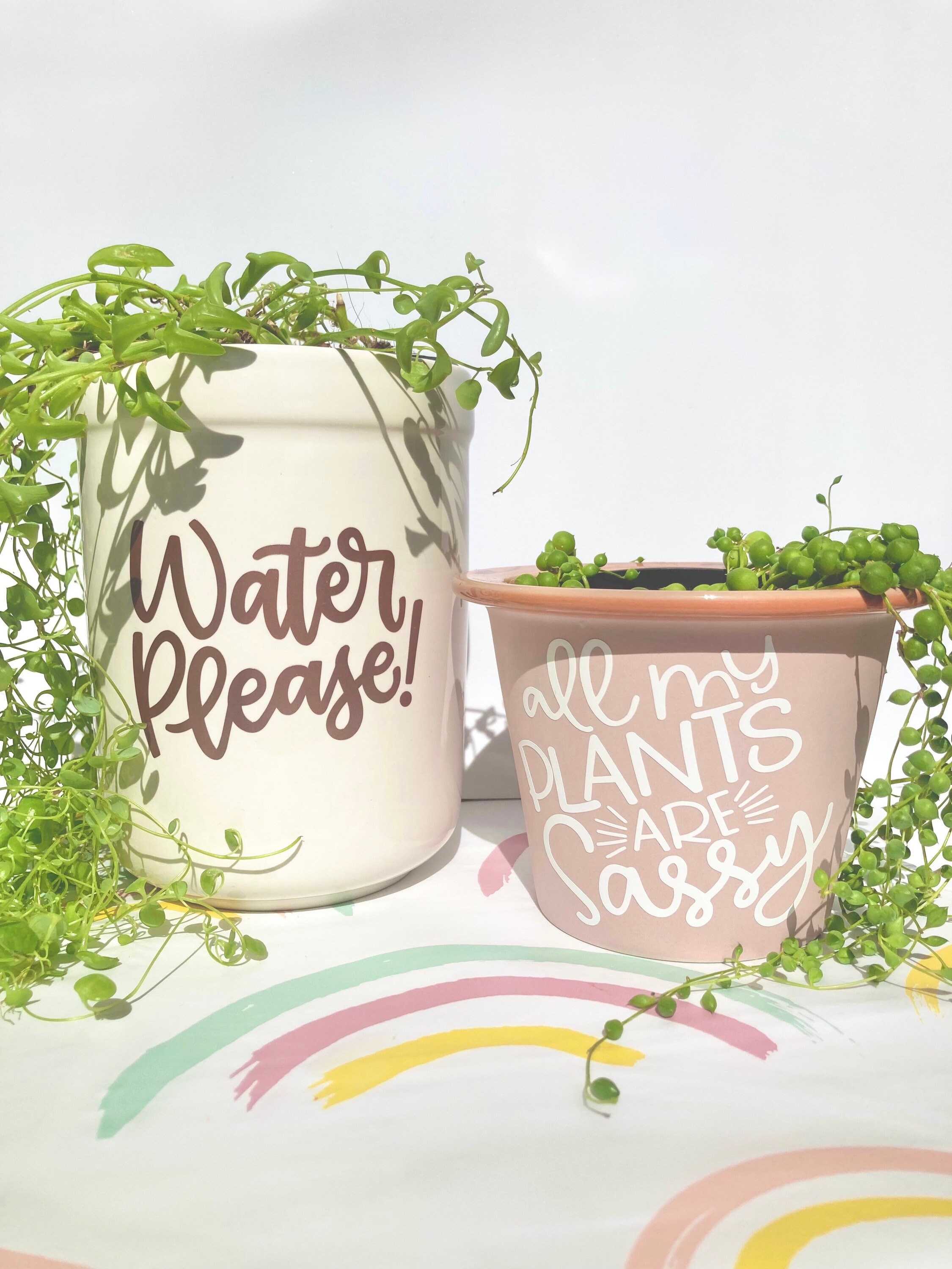 Pot Plant Decal Puns DIY Affirmations Gift Pot - Etsy Australia