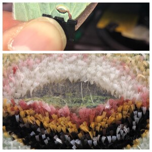 Luna Moth “eye” Pattern Macro Image 12”x18” in 18x24 Mat Signed - Etsy