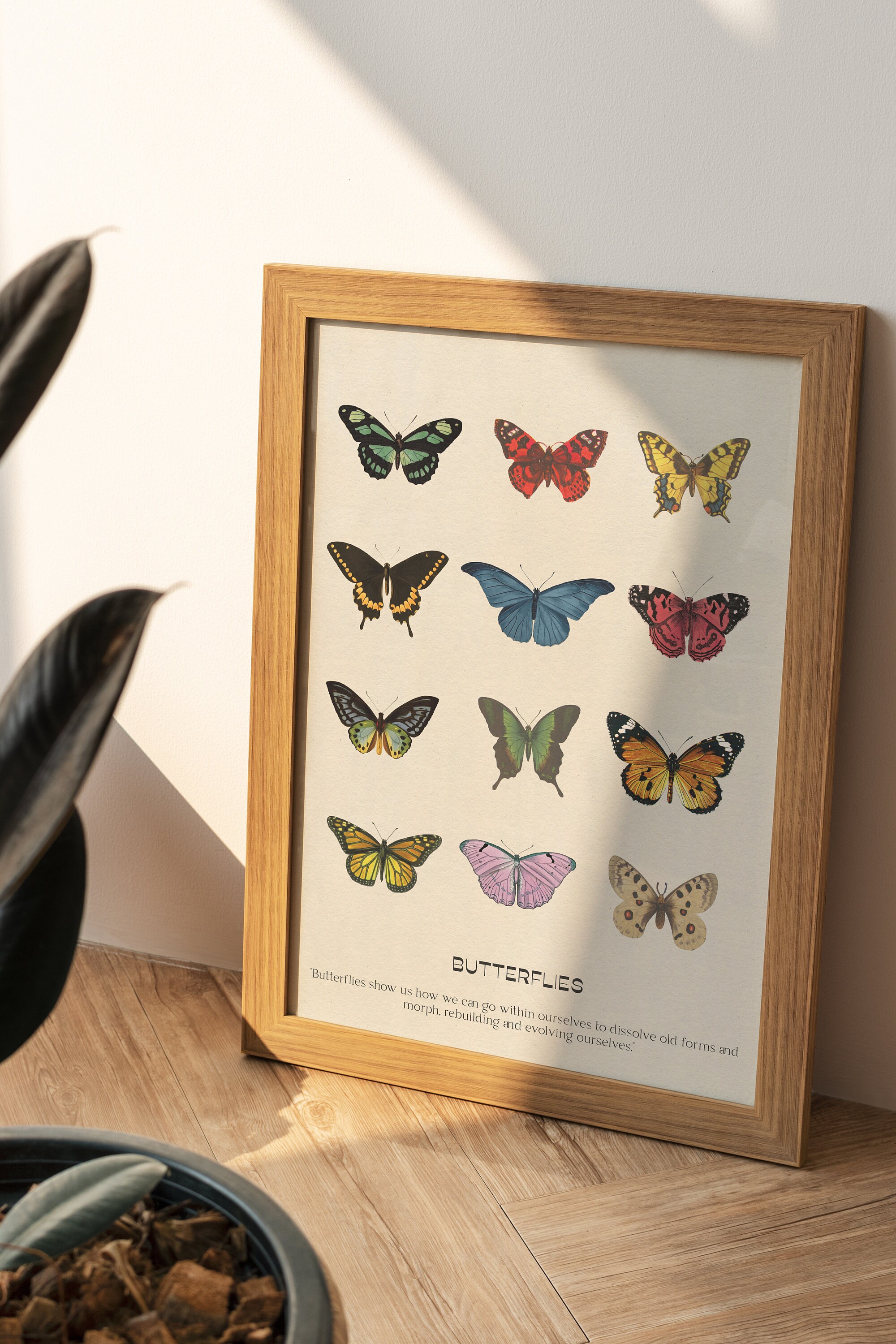 Vintage Butterflies Printable Poster Instant Download Wall - Etsy