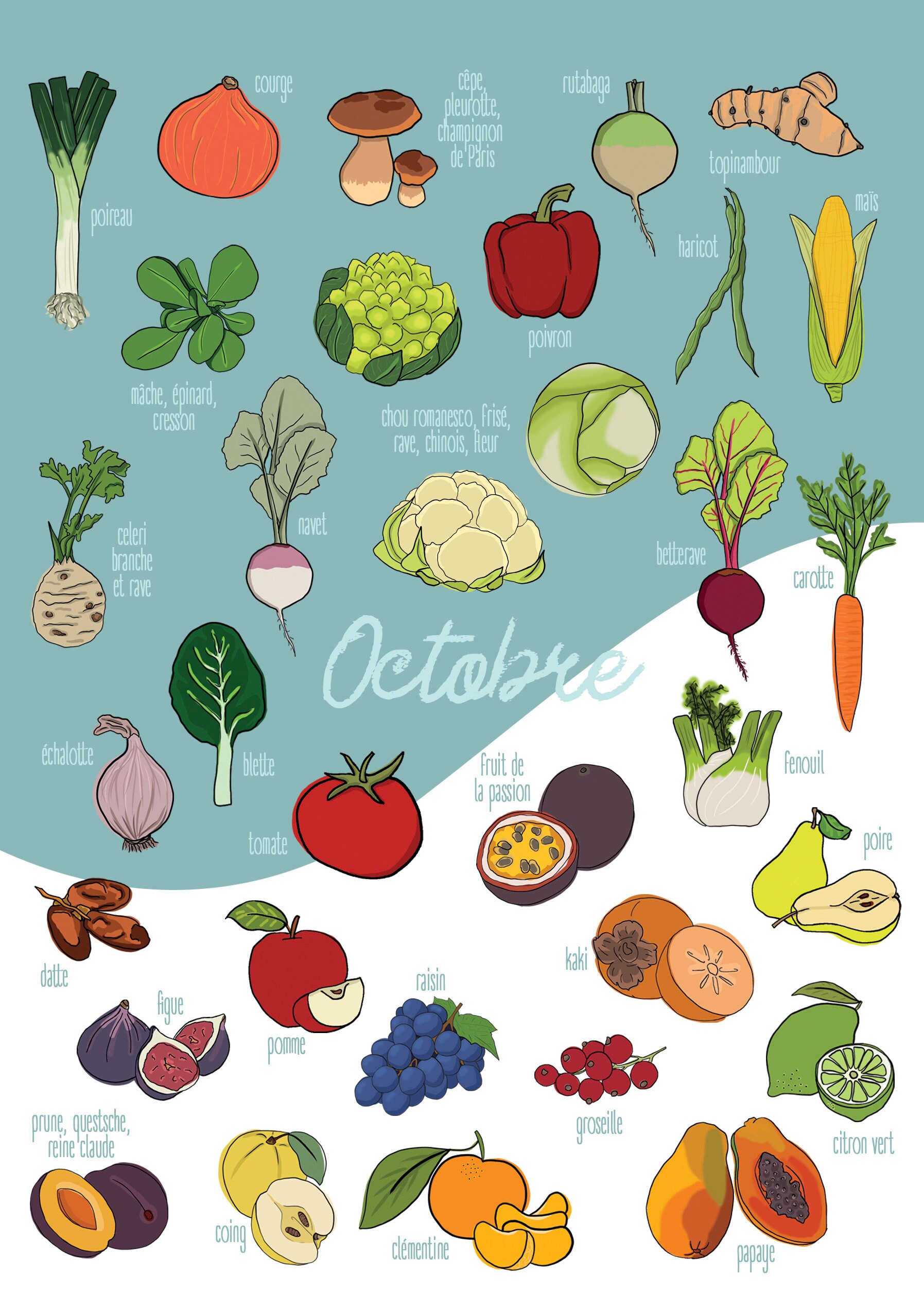 Perpetual, Colorful, Wall Calendar of Seasonal Fruits and Vegetables in ...