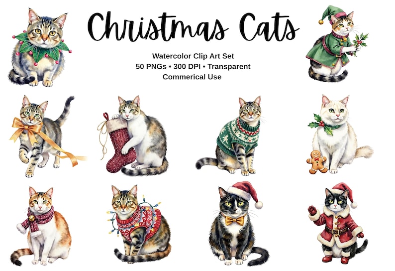 Christmas Cats Clipart PNG Bundle – 50 Holiday Cat Graphics for ...