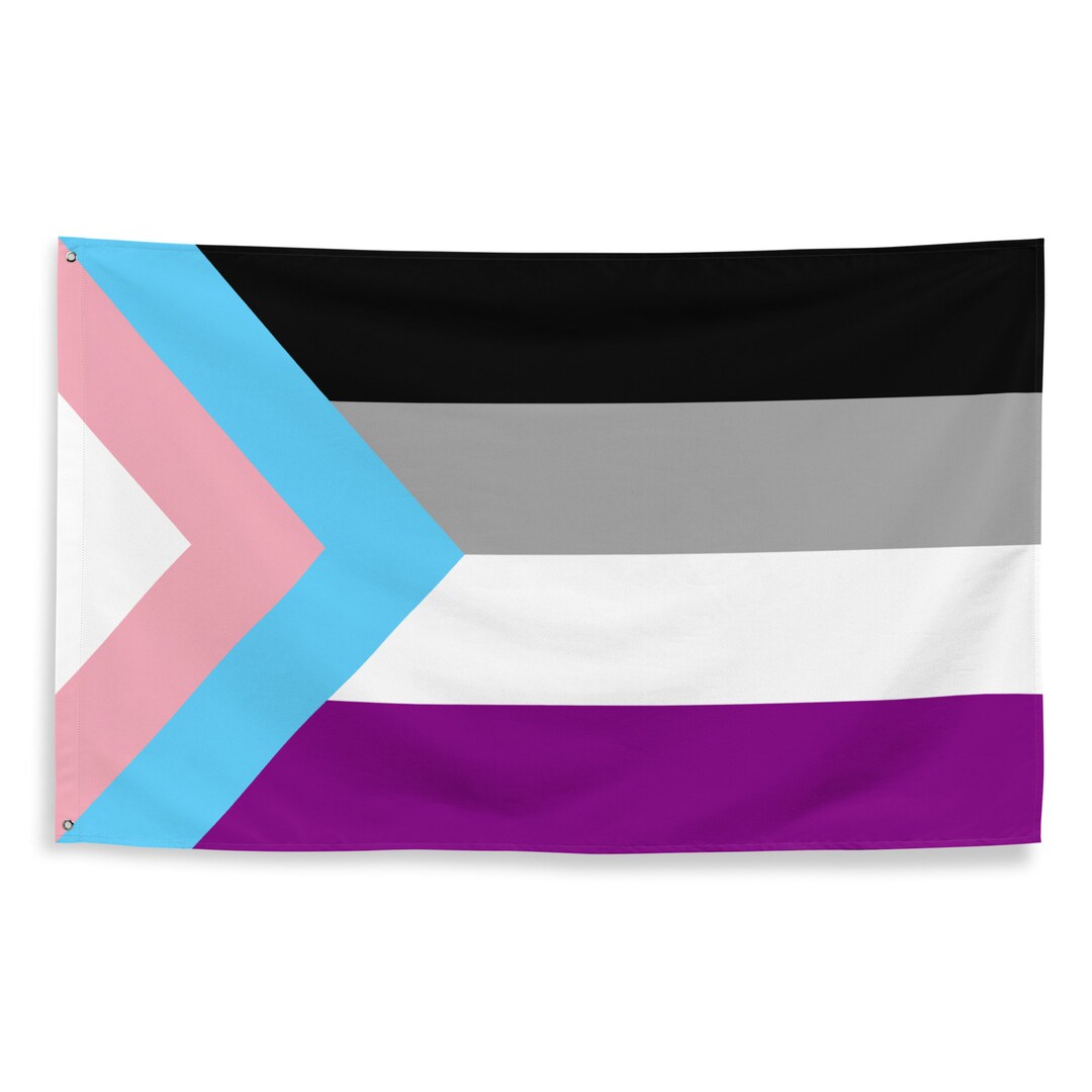 Trans Ace Asexual Pride Flag 3x5 | Progress Pride Flag Aspec Trans ...