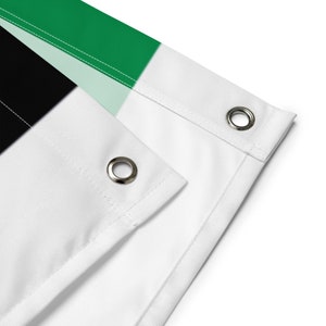 Israel Palestine Binational State Flag 3x5 - Etsy