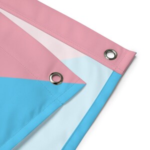 Trans Aroace Asexual Aromantic Trans-inclusive Progress Pride Flag 3x5 ...