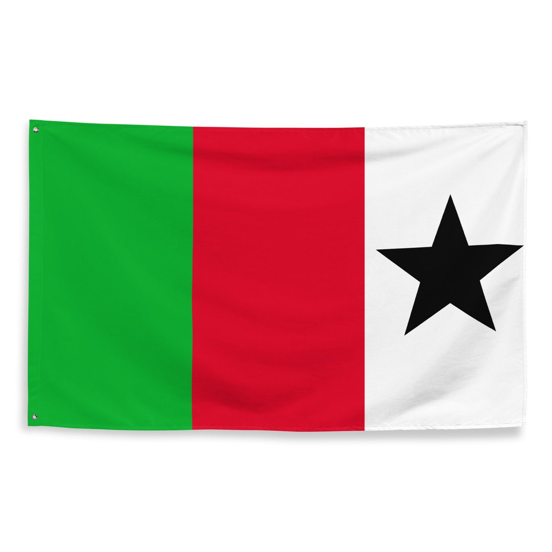 Welsh Republican Tricolour Flag 3x5 - Etsy